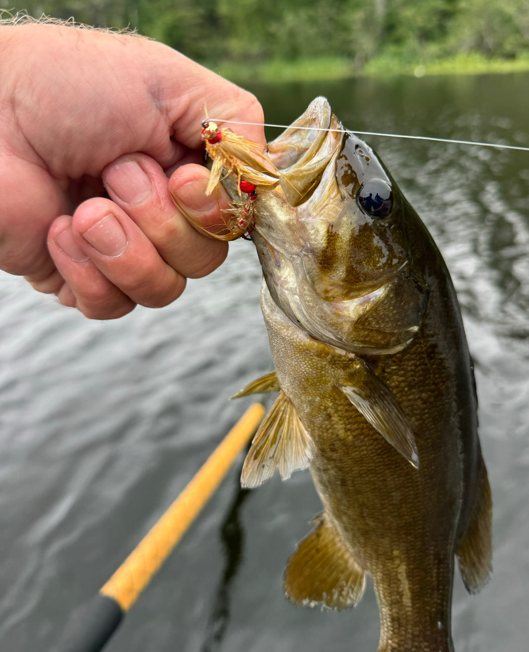 Fly Fishing Guide Service & Fly Shop Pittsburg New Hampshire – North ...